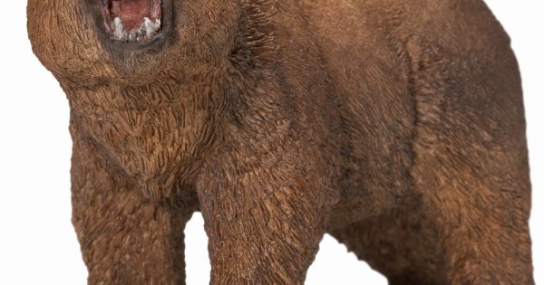 Schleich Medved Grizli | Online Apoteka Laurus