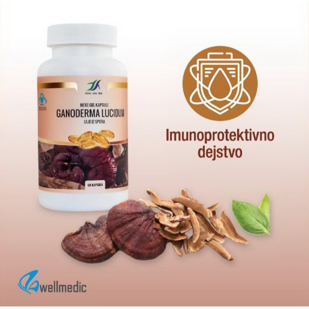 Ganoderma Lucidum | Online Apoteka Laurus