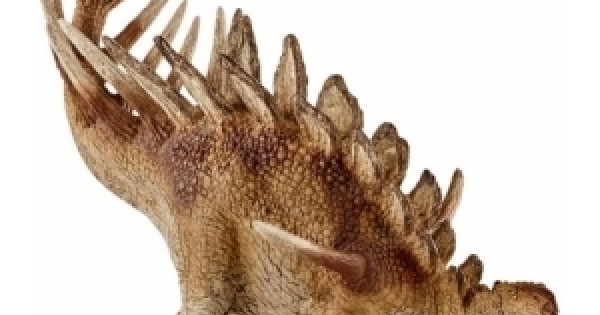 Schleich Kentrosaurus 14583 | Online Apoteka Laurus